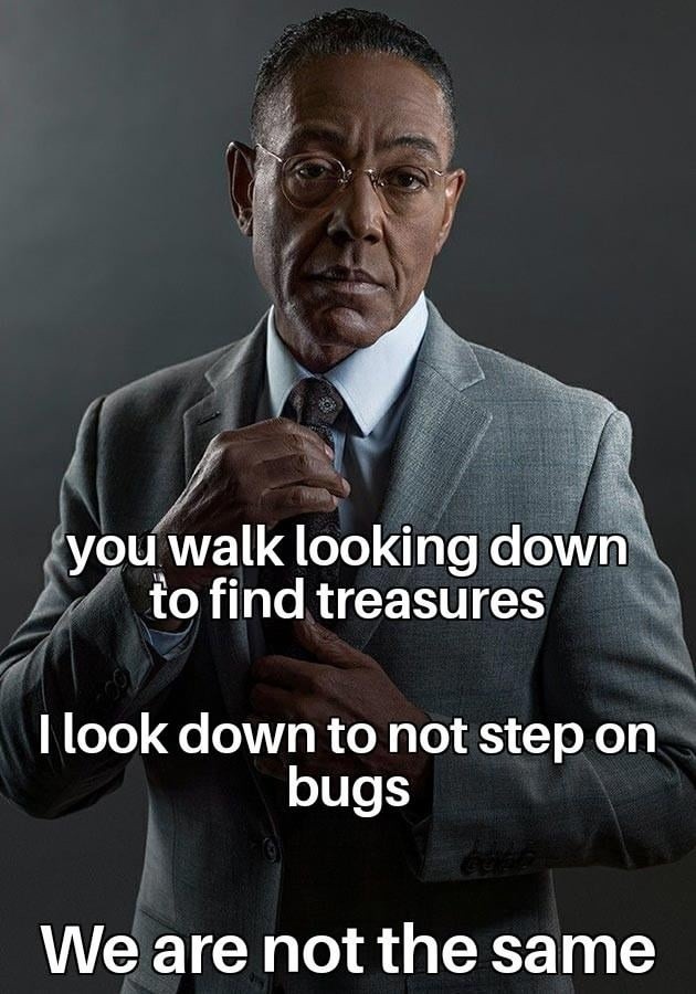 The best Bugs memes :) Memedroid