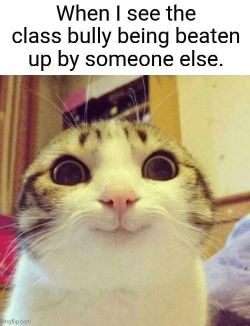 The best Bully memes :) Memedroid