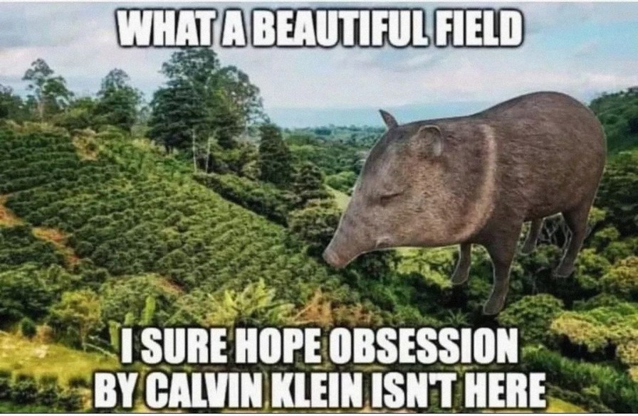 Advanced humour - Meme by Its.my.opinion :) Memedroid