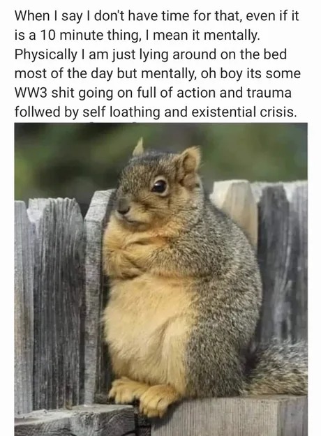 The best Busy memes :) Memedroid