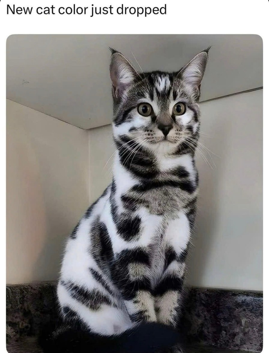 The best New Things memes :) Memedroid