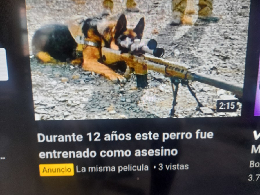 Perro - Meme subido por Dante_perez :) Memedroid