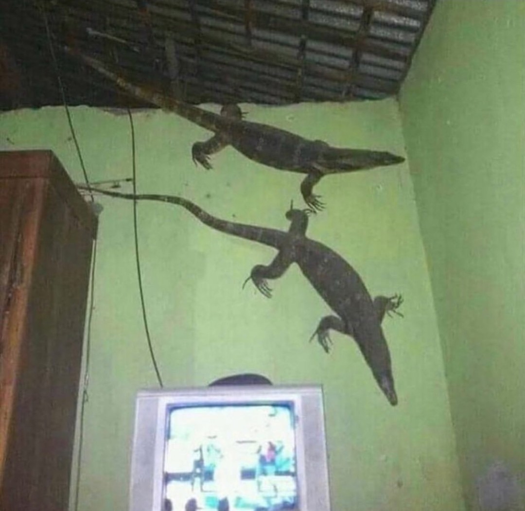 B r o M o m e n t o - Meme subido por Angelo0812 :) Memedroid