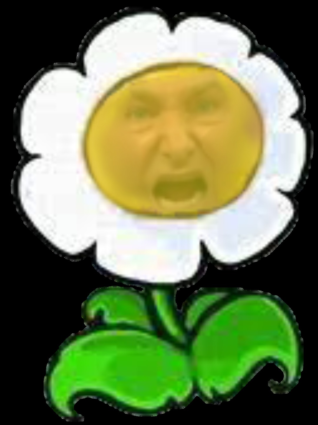 Últimos memes :) Memedroid