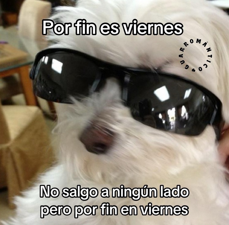 Los mejores memes del viernes - :) Memedroid :) Memedroid