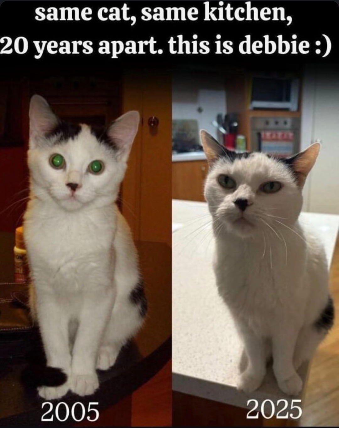 The best Memory memes :) Memedroid