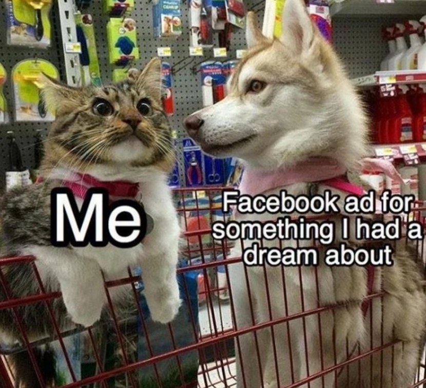 the spy. - Meme by RepeatPassword :) Memedroid