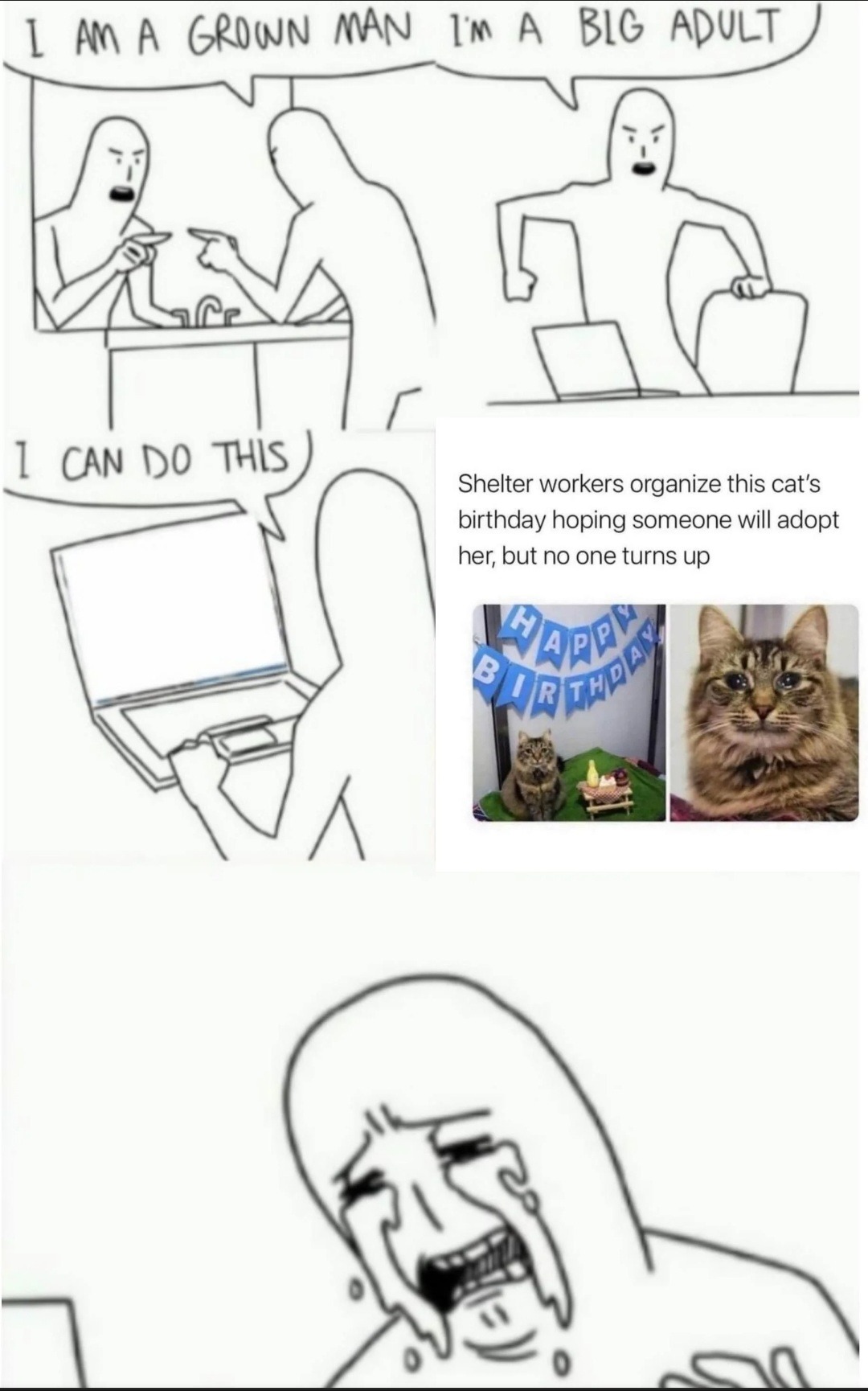 Shame of those who di not adopt catto - Meme by KingKungFu :) Memedroid