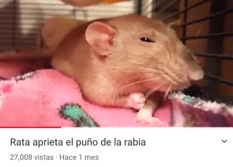 Furia - Meme subido por Bite_Skull_Studios :) Memedroid