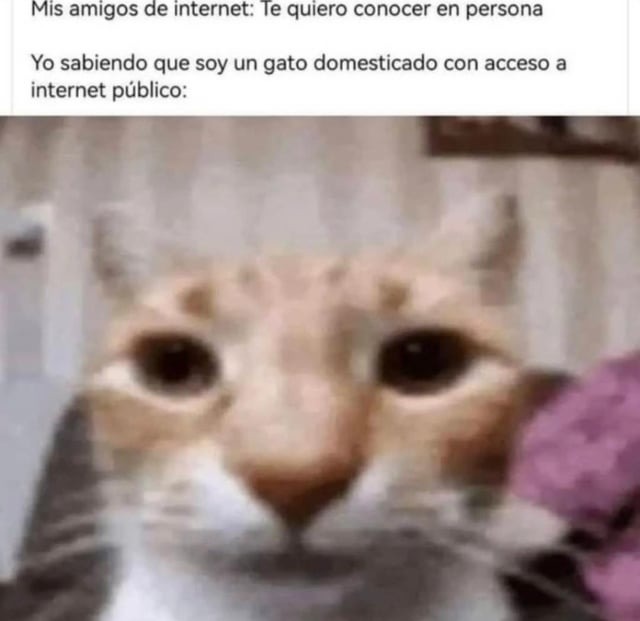 Top memes de Internet en español :) Memedroid