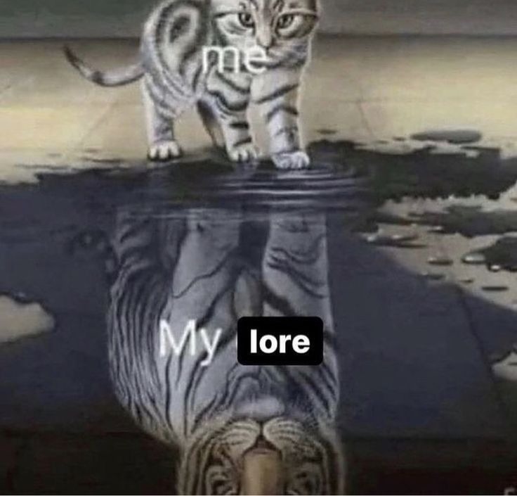 Los Últimos Memes :) Memedroid