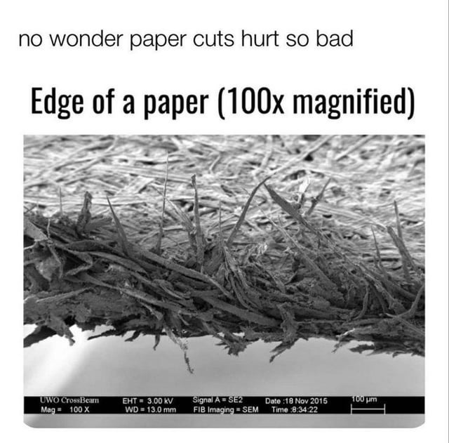 The best Paper memes :) Memedroid