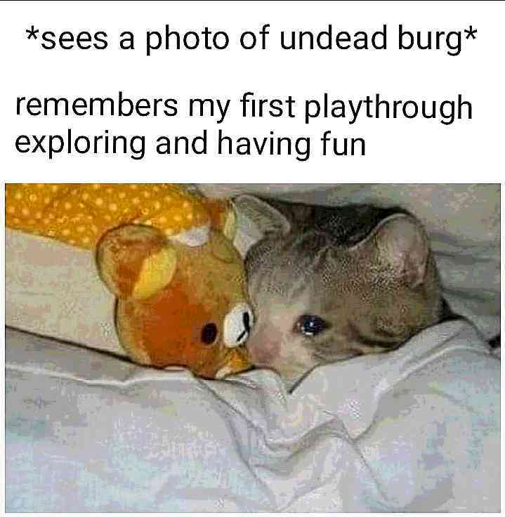 It was so nice just exploring the area - Meme by JIMBO100 :) Memedroid