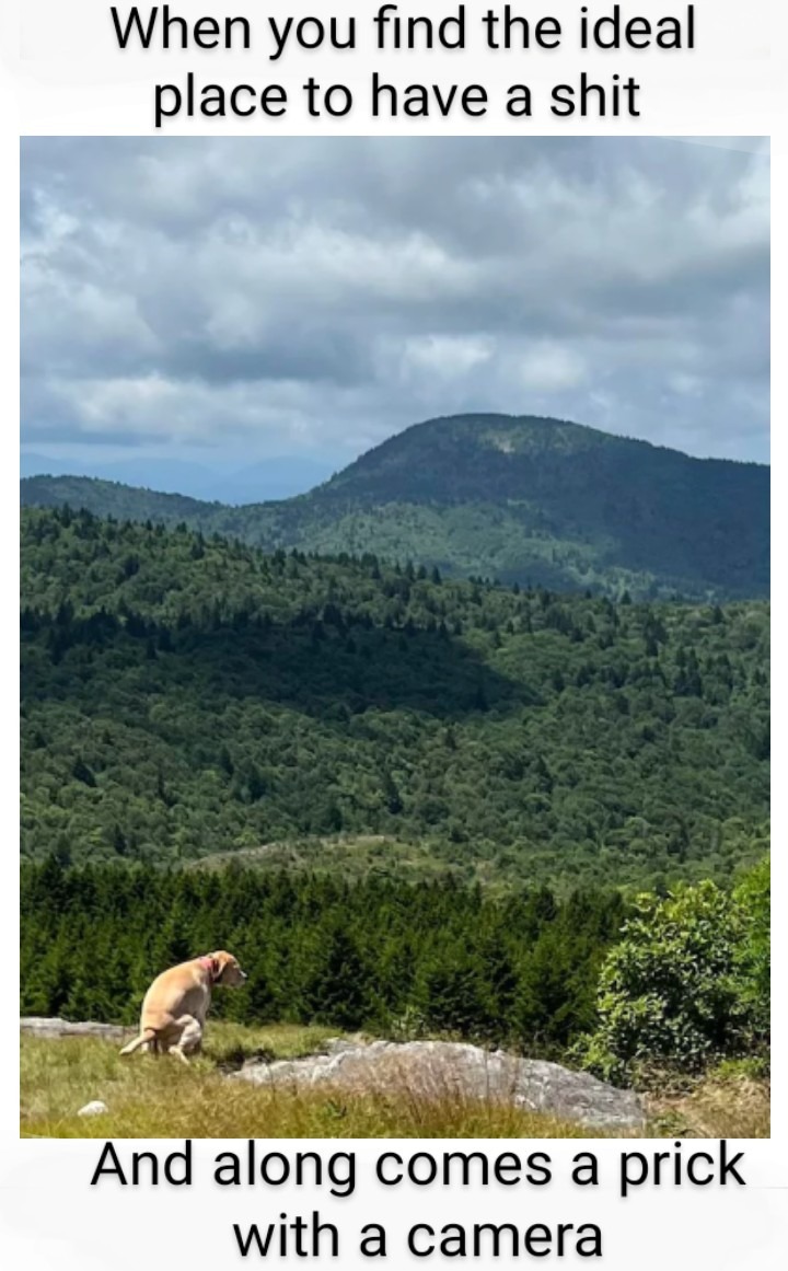 Canine problems - Meme by EstebanVasquez :) Memedroid