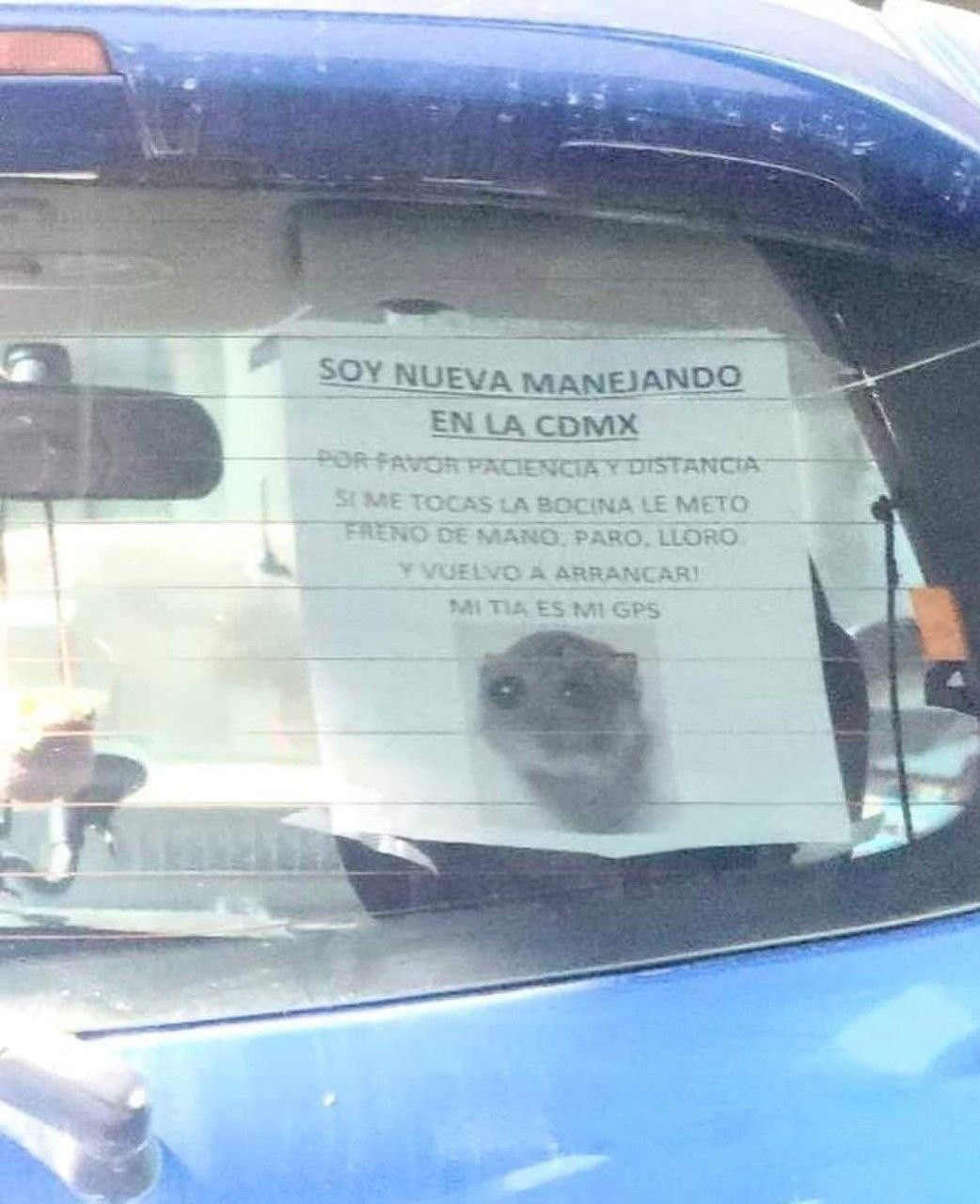 Top memes de Novata en español :) Memedroid