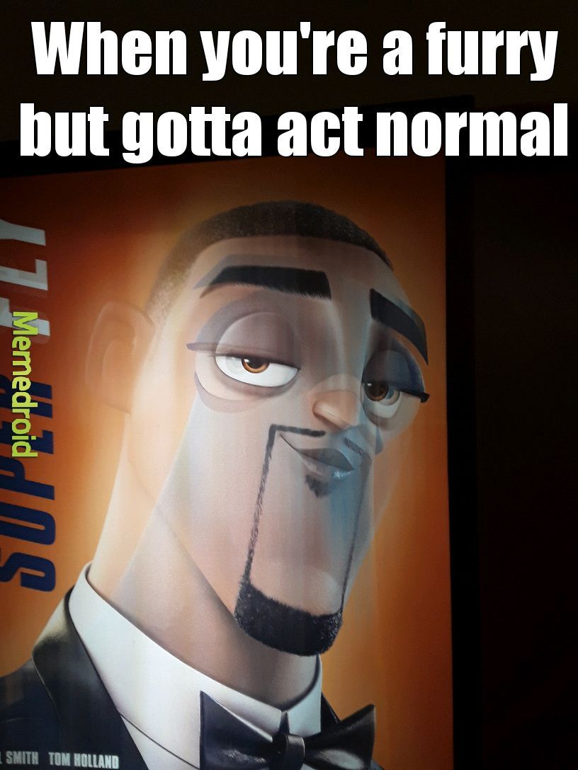 The best furry memes :) Memedroid
