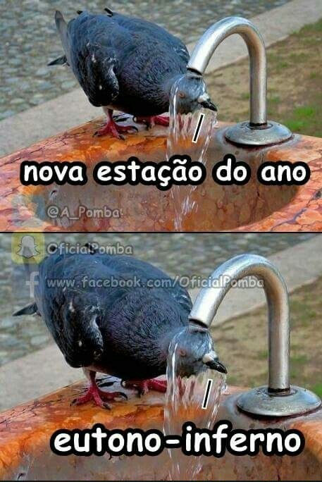 Pega fooooogo cabaré - Meme by ph.pinho :) Memedroid