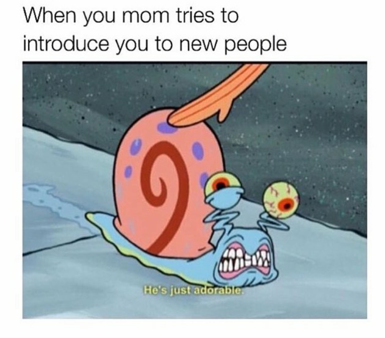 ny gf introducing me to her friends - Meme by plumdog :) Memedroid