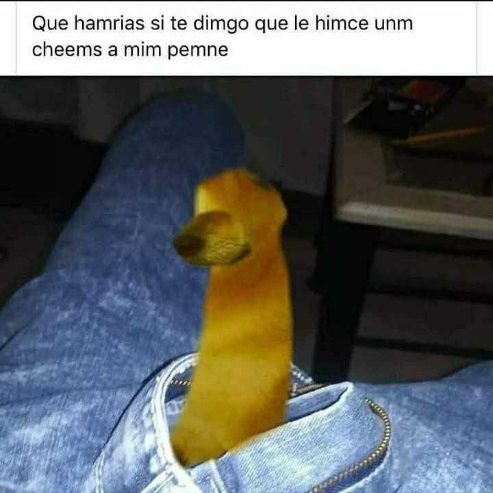 Le hicieron un chemss - Meme subido por A32 :) Memedroid