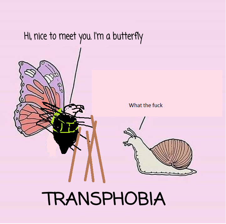 Transphobia Memes