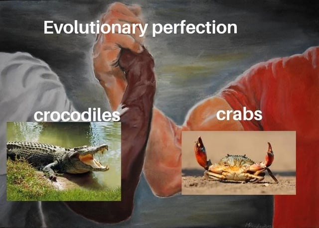 The best Evolution memes :) Memedroid
