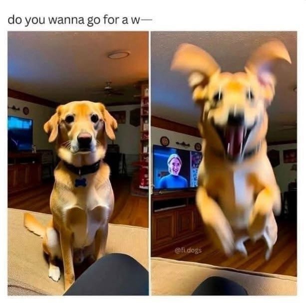 Fark Dog Memes Fark Off Karen 🗣🎶🎶🎶, ., ., ., Don’t
