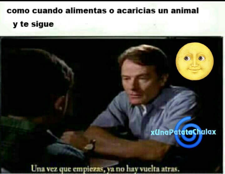 Fiesta! El primer come.Elije de que - Meme subido por XUnaPatataChulaX ...