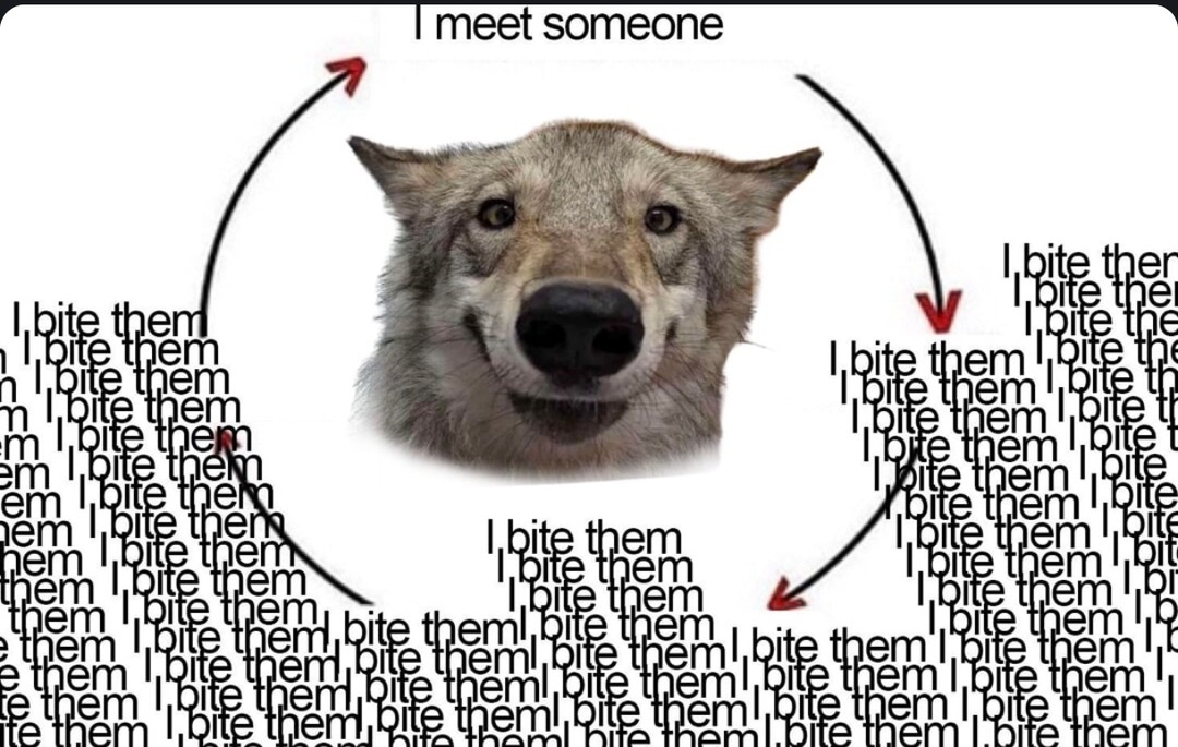 The best Bite memes :) Memedroid