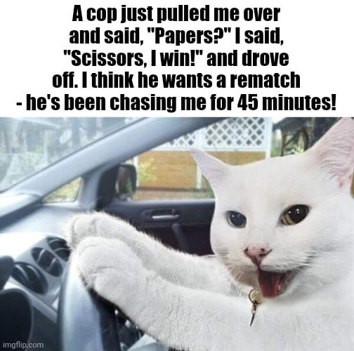 The best Cop memes :) Memedroid