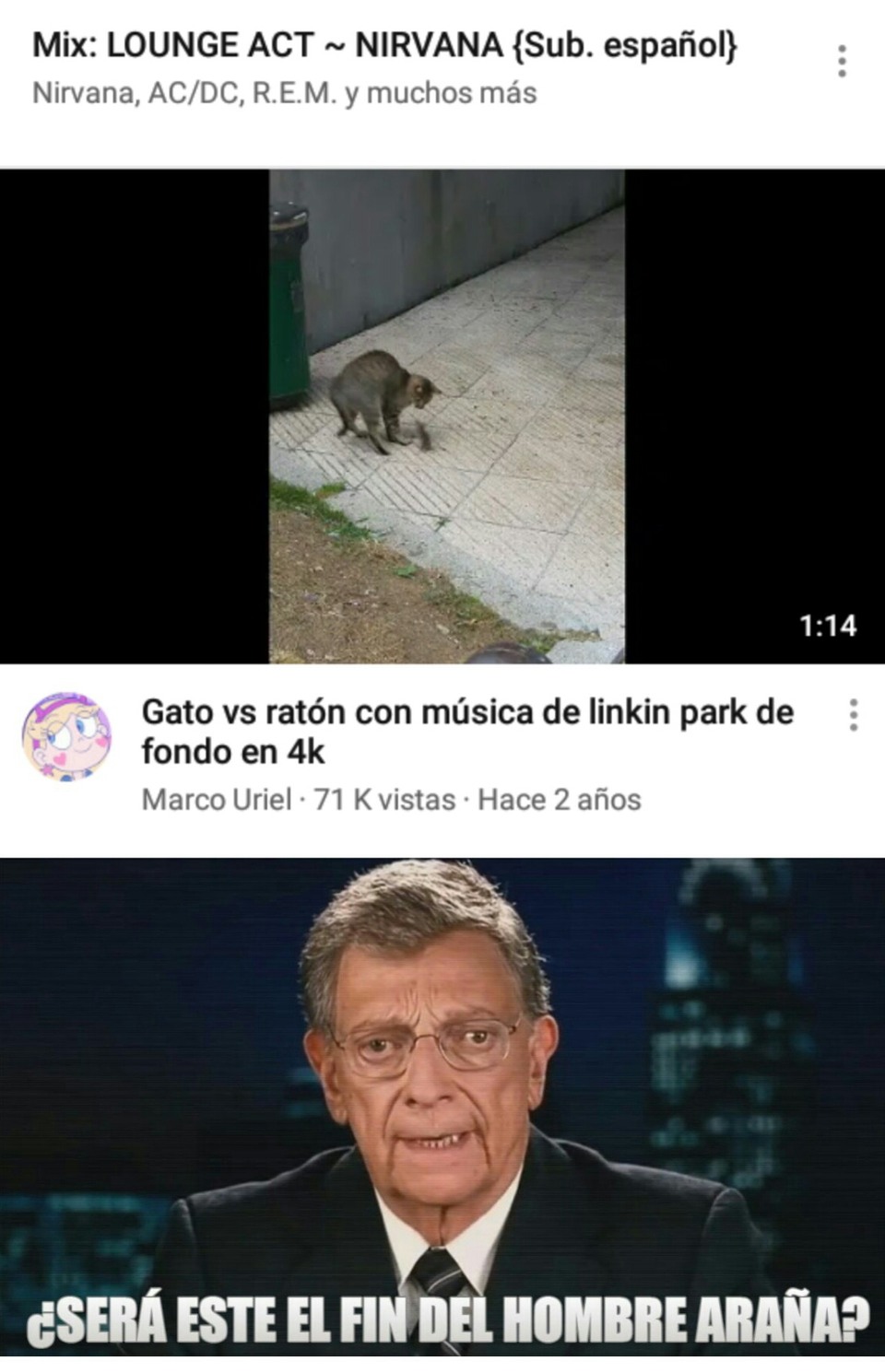 Noo chefsito - Meme subido por Xlk :) Memedroid