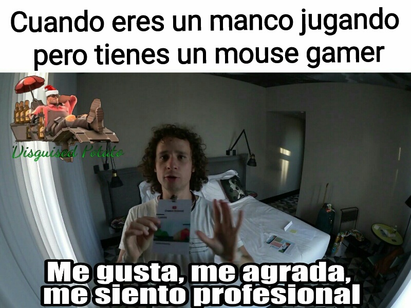 Profesional - Meme by DisguisedPotato :) Memedroid