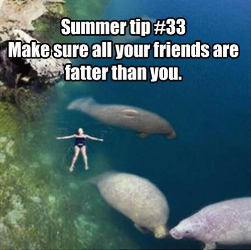 Fat Friends - Meme by FreddyC :) Memedroid