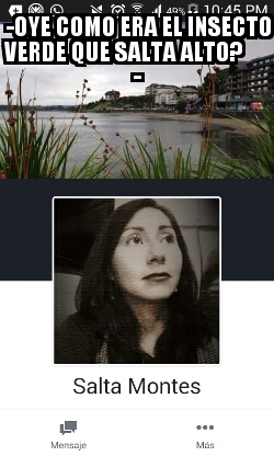 Maldito insecto - Meme subido por SkyKenway :) Memedroid