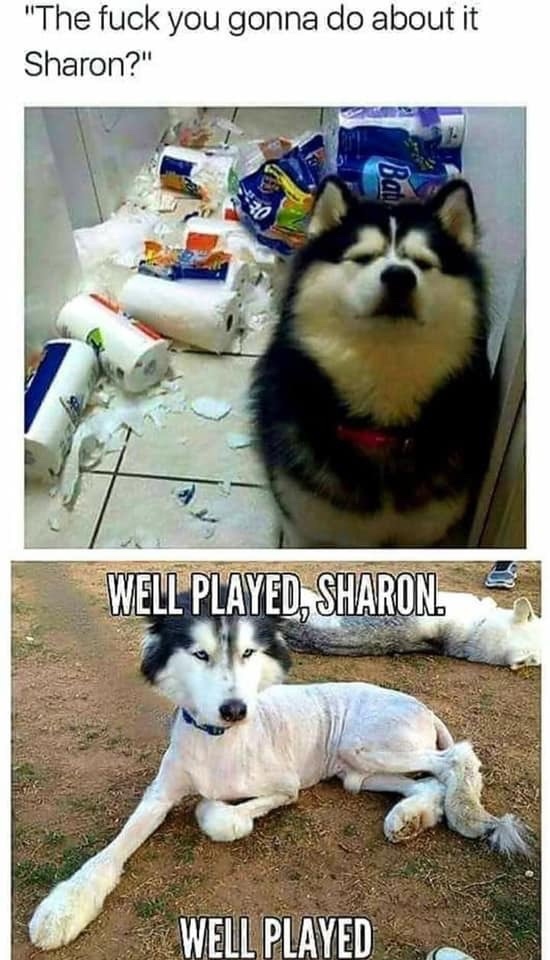 Sharon why do dis - Meme by Fartfish12 :) Memedroid