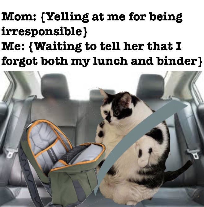 Waiting to be more irresponsible - Meme by geniusleesin :) Memedroid