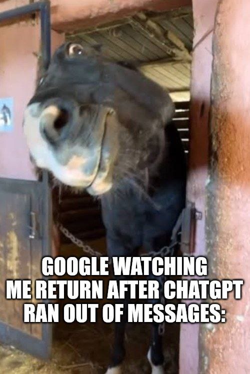 The best Google memes :) Memedroid