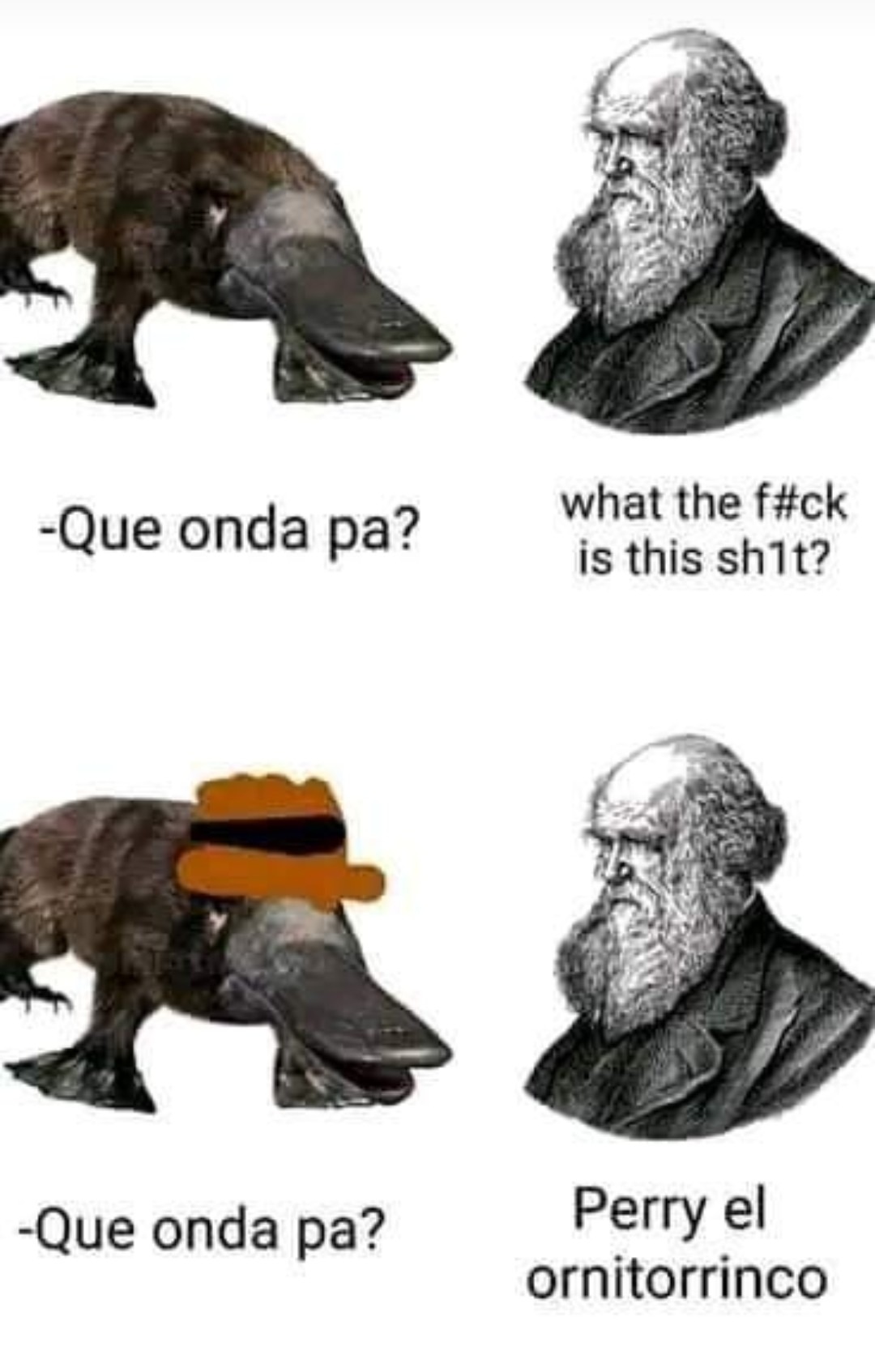 Perryy - Meme by Franzmarcos14 :) Memedroid