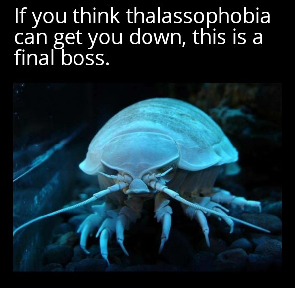 Final Boss Memes The Final Boss Imgflip