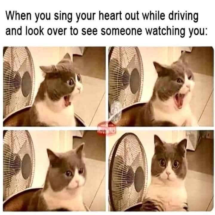 The Latest Memes :) Memedroid