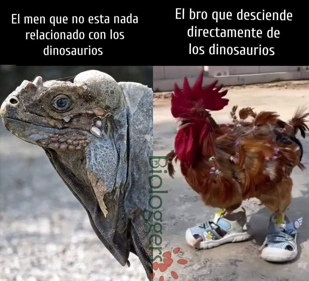 Top memes de dinosaurios en español - Memedroid