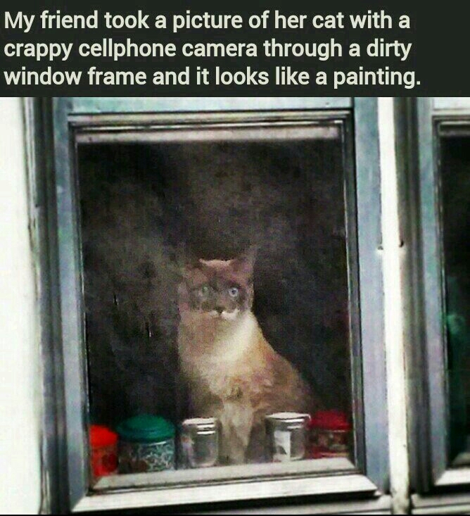 Follow for follow - Meme by Tweet :) Memedroid