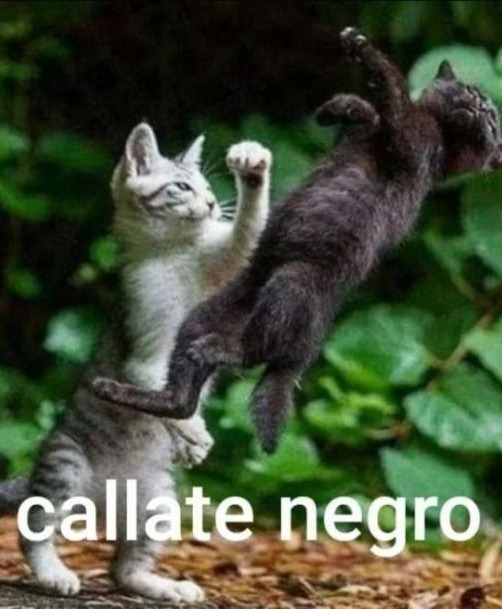 Los Últimos Memes :) Memedroid