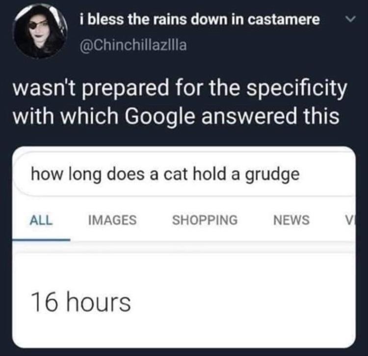 The best Google memes :) Memedroid