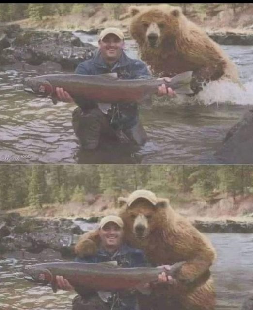 Top memes de Oso en español :) Memedroid