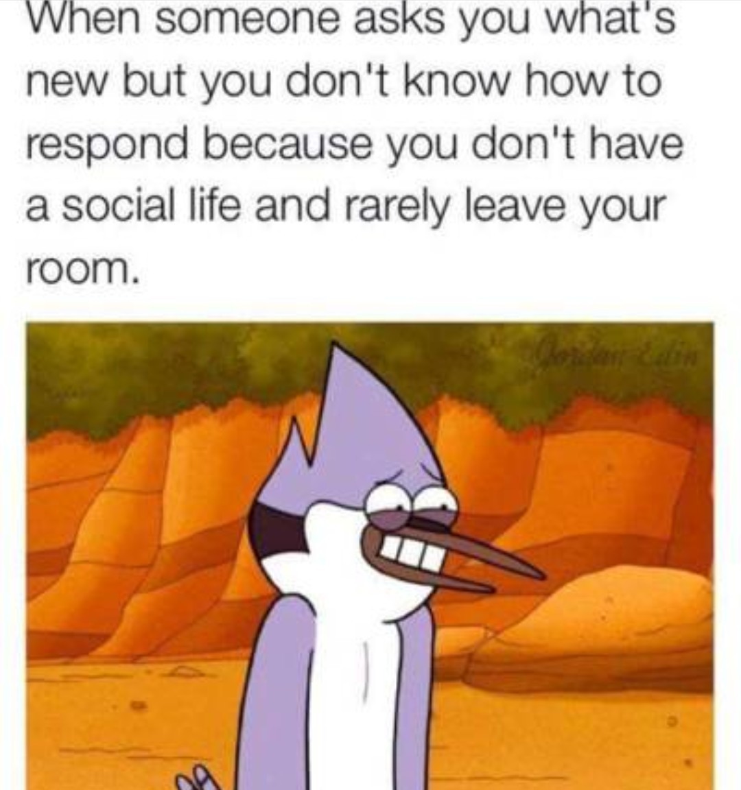 The best Regular Show memes :) Memedroid