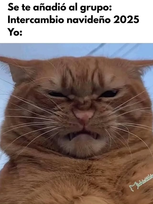 Los mejores memes del 2025 en español :) Memedroid