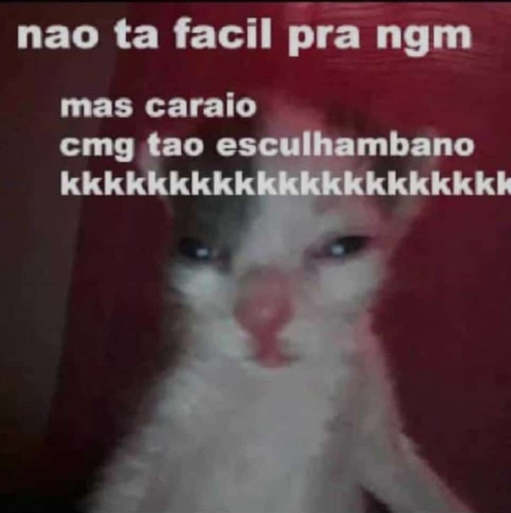 Não tá fácil continua o nofap - Meme by kaikai_uchiha :) Memedroid