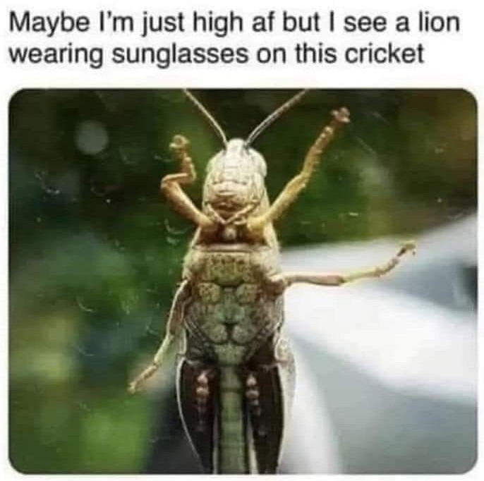 I'm not high and it's definitely there - Meme by audilover23 :) Memedroid