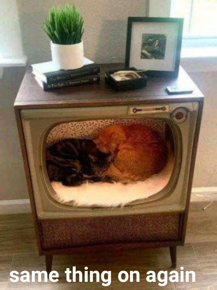 Rerun - Meme by zerocoolduff :) Memedroid