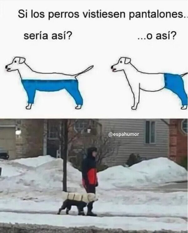 Los 16 memes más divertidos del invierno 2022 - El Blog de Memedroid